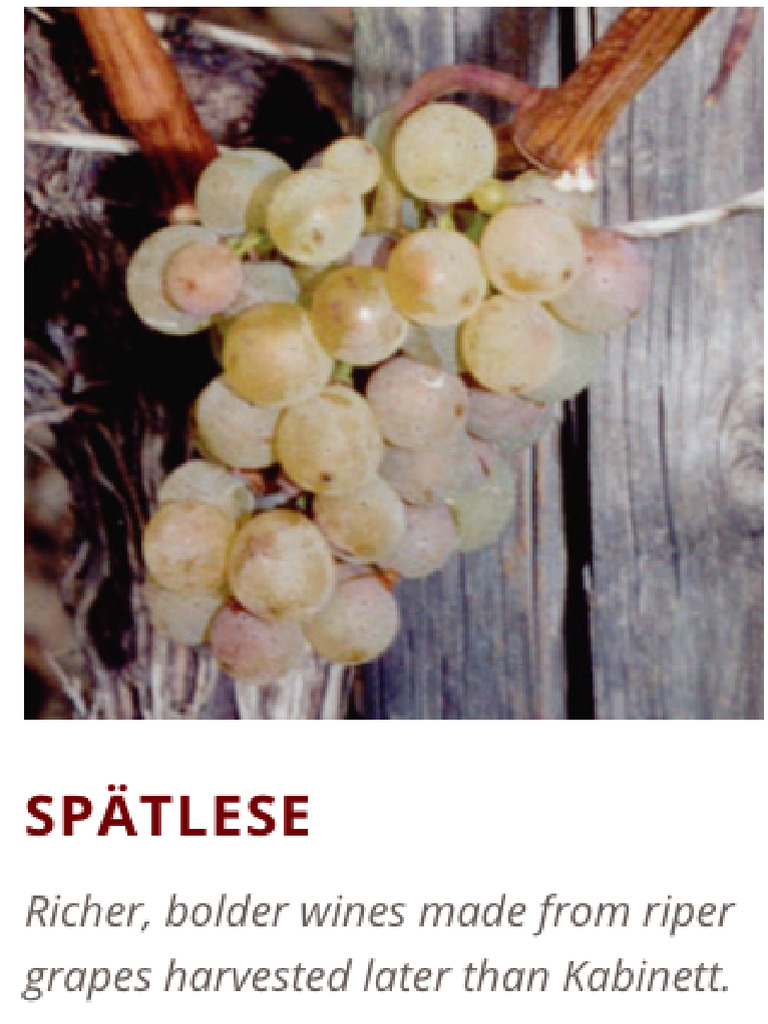 Picture of Spätlese Riesling Grapes | PDF