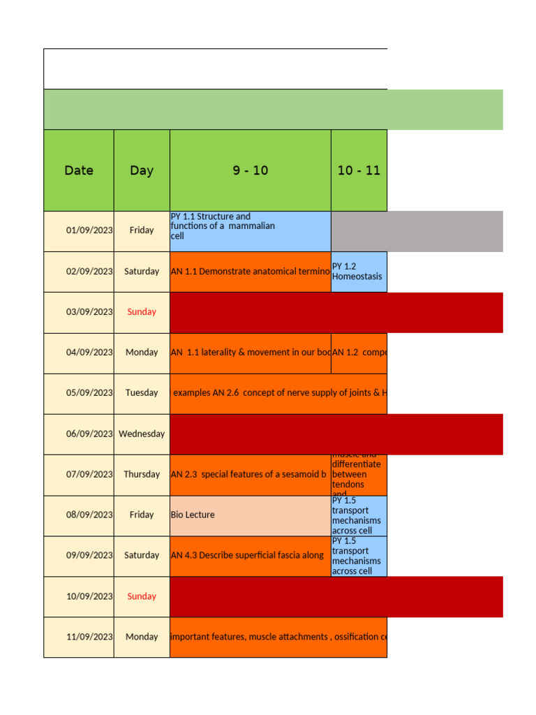 Amc Schedule | PDF | Arm | Hand