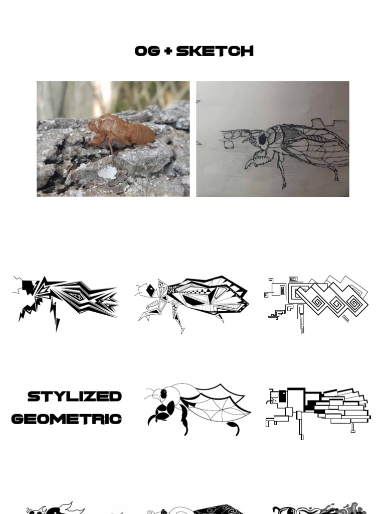 Organic and Geometric Cicada | PDF