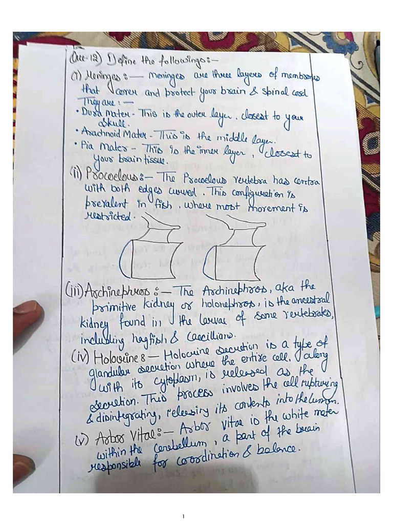 Practice Sheet 7(1007) | PDF