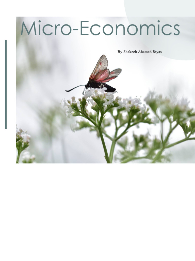 Understanding Micro-Economics Concepts | PDF | Utility | Shortage