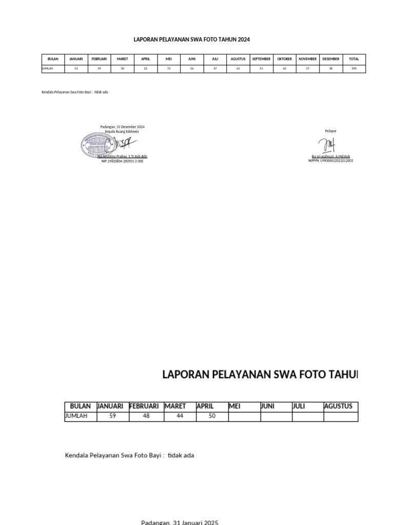Laporan Swa Foto Bayi 2024 | PDF