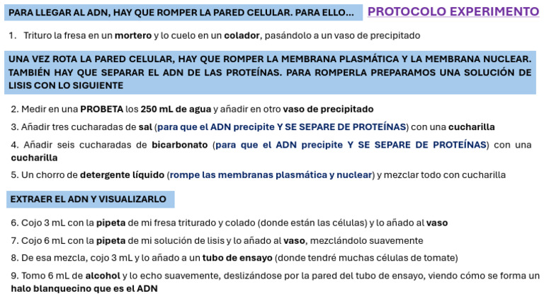 Extracción de Adn - 1 - Protocolo | PDF