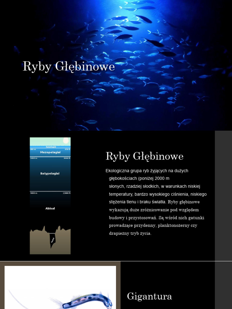 Ryby Głębinowe | PDF