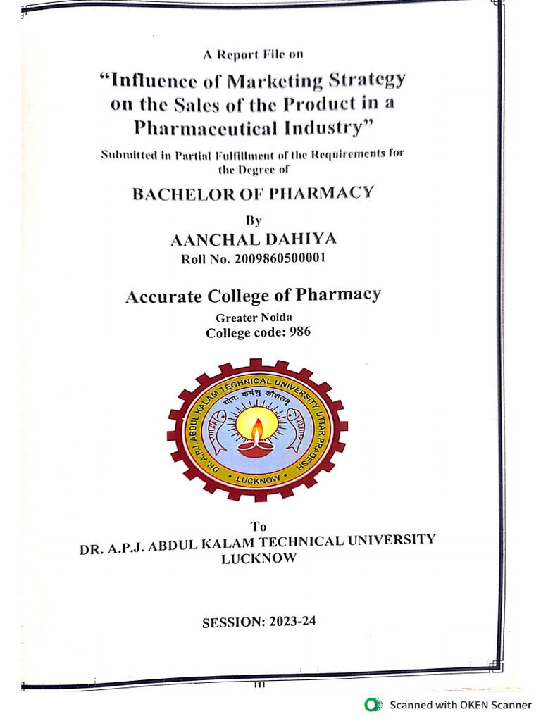 Project Report Sample | PDF