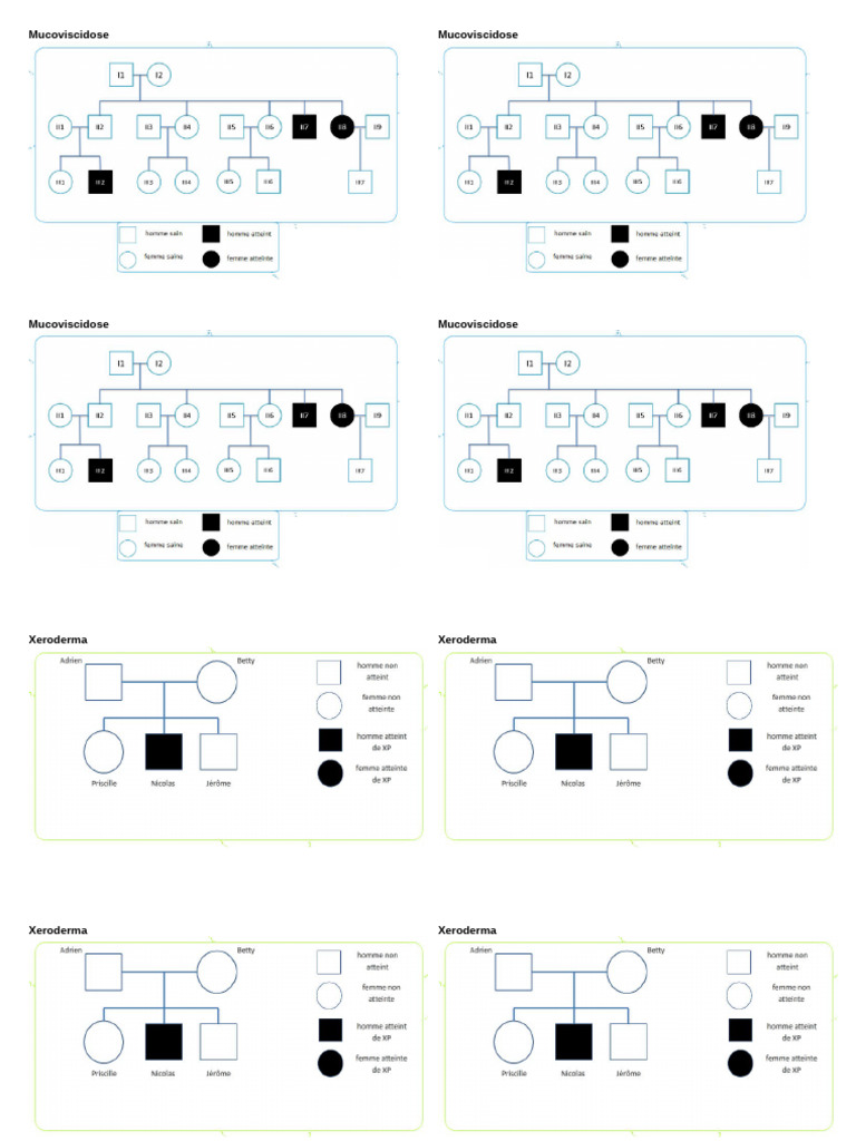 Arbres Genealogiques | PDF