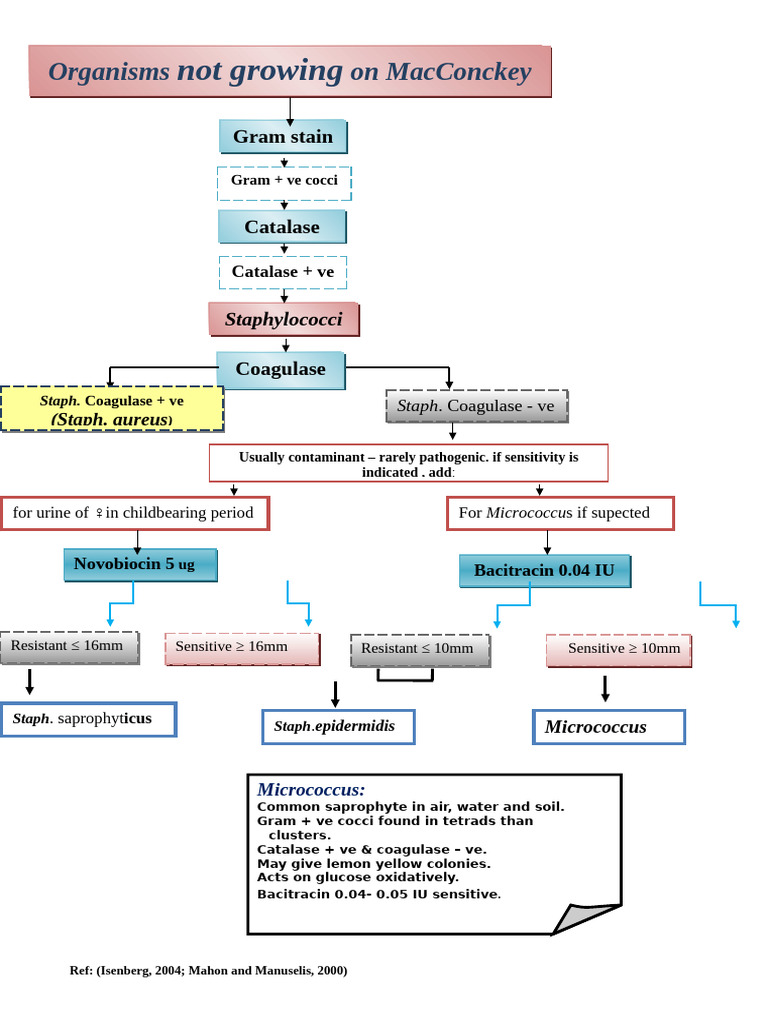 Staph. IDENTIFICATION | PDF
