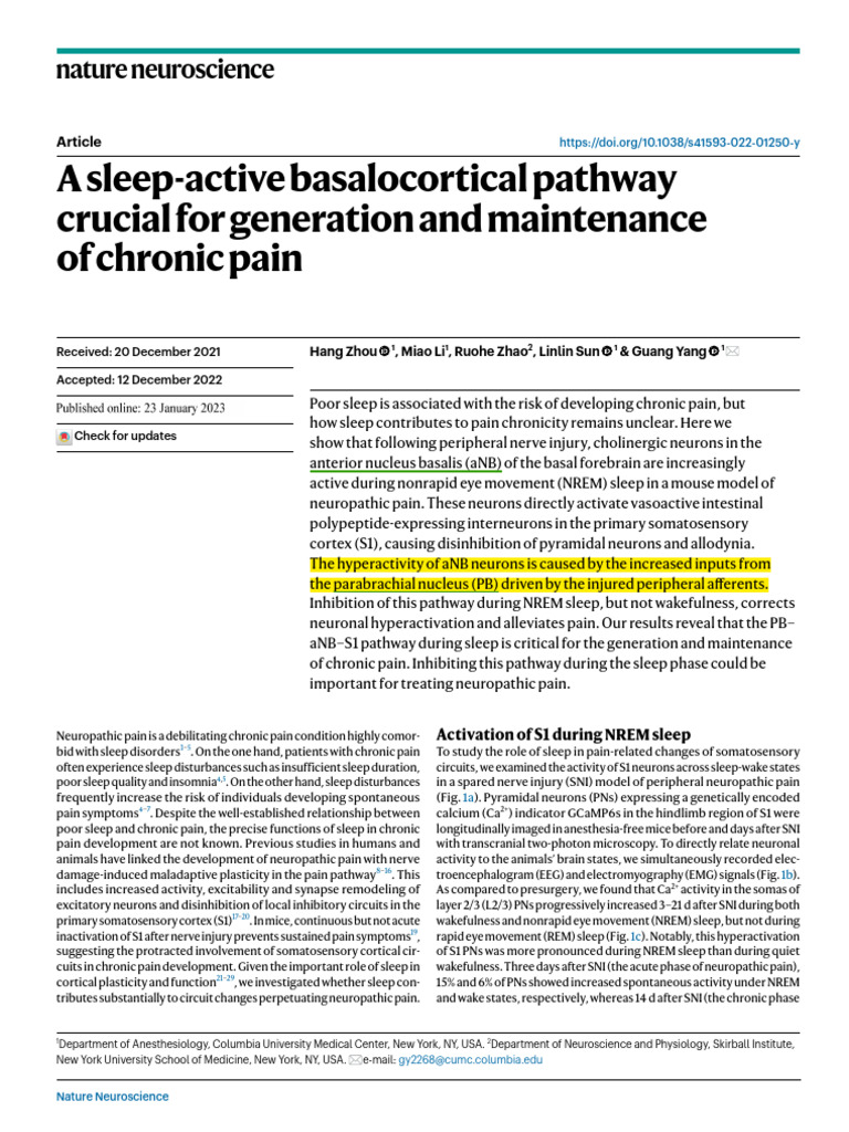 A Sleep-Active Basalocortical Pathway Crucial For Generation and Maintenance of Chronic Pain ...