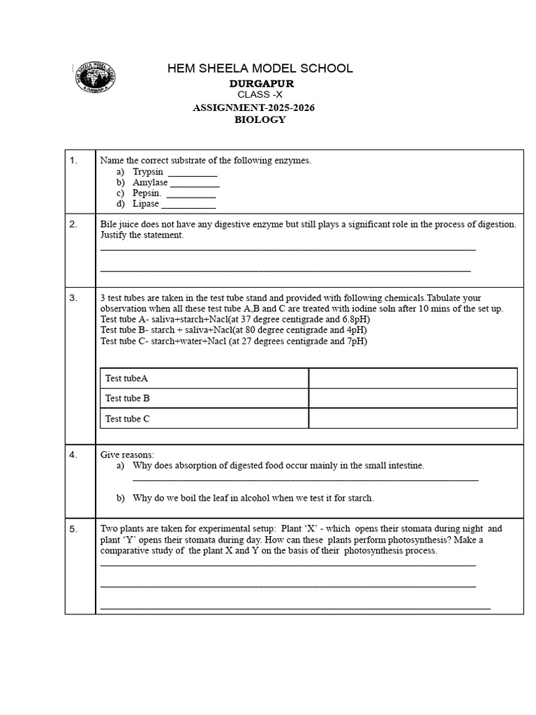 2025 10 Summer Vacation Assignment | PDF | Digestion | Circulatory System