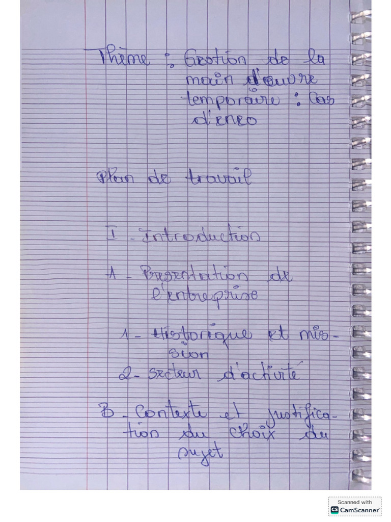Plan de Travail Habibatou | PDF