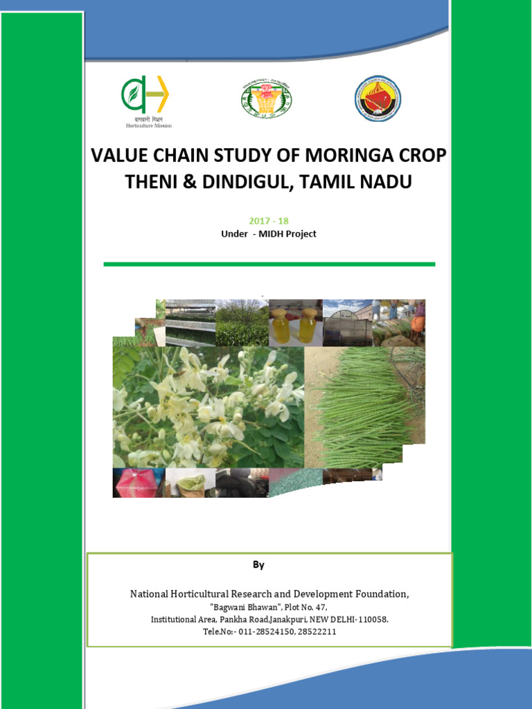 Value Chain Moringa Theni & Dindugal | PDF | Agriculture | Tamil Nadu