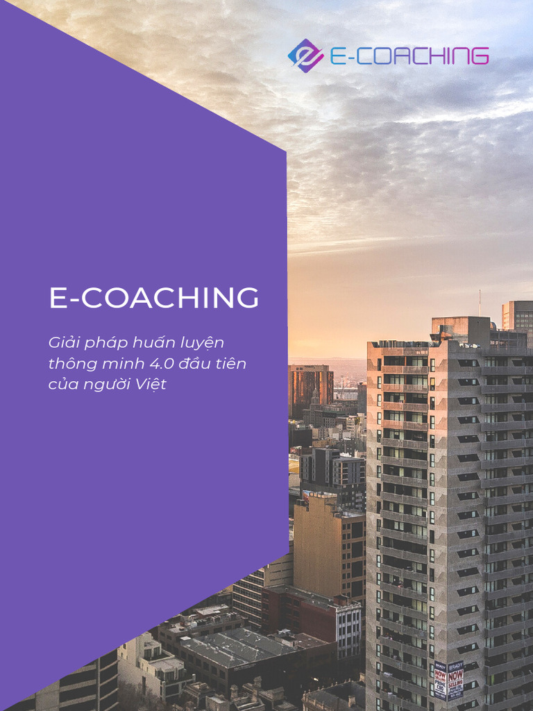 Gi I Thi U Ecoaching | PDF