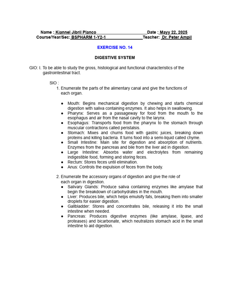 LAB EXERCISE - Digestive System | PDF | Digestion | Esophagus