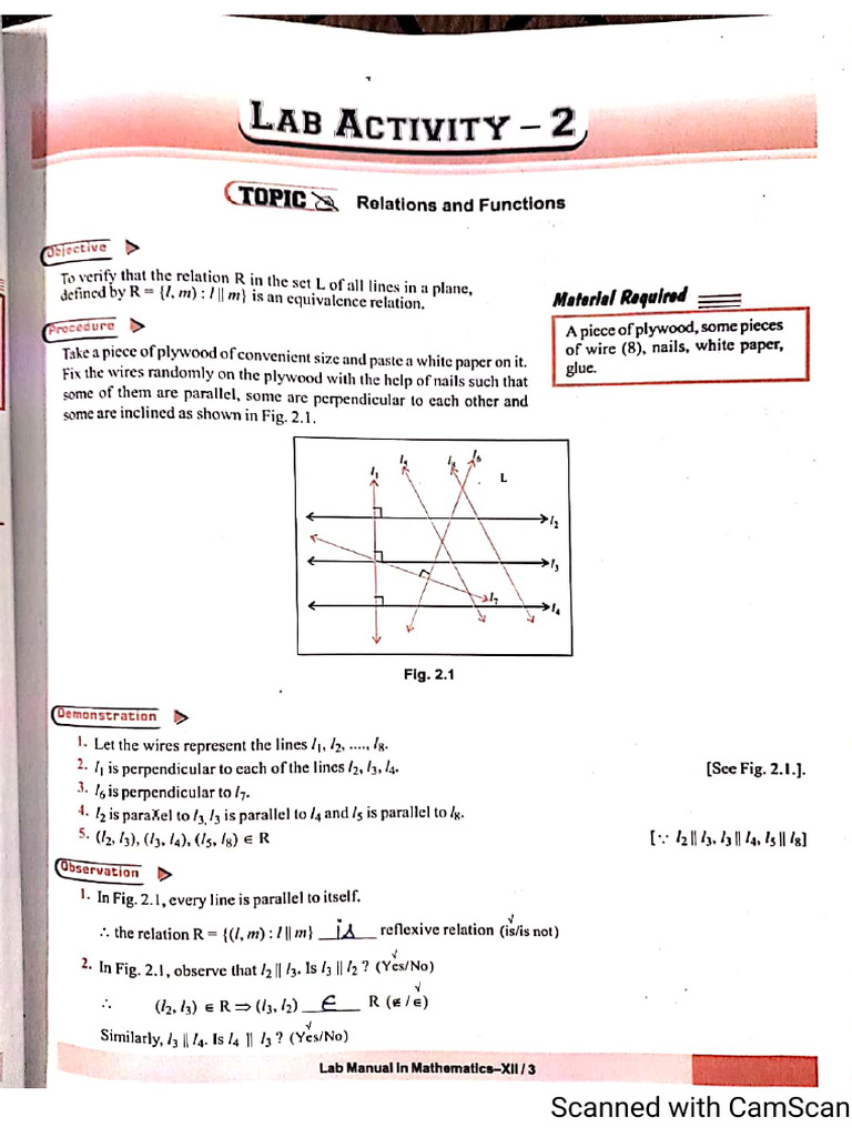 3 Activities of HHW Class XII | PDF