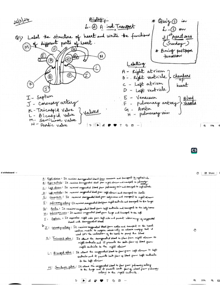 Updated Animal Transport Biology Notes | PDF