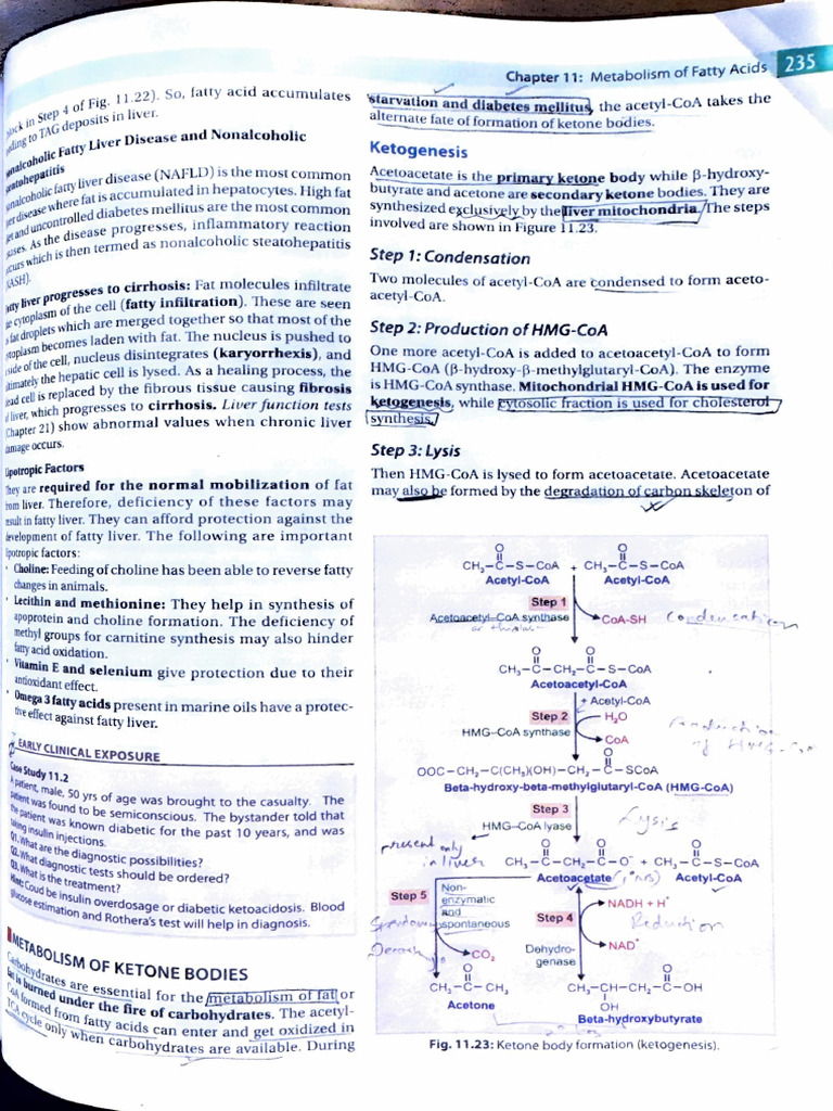 q.2 Biochem | PDF