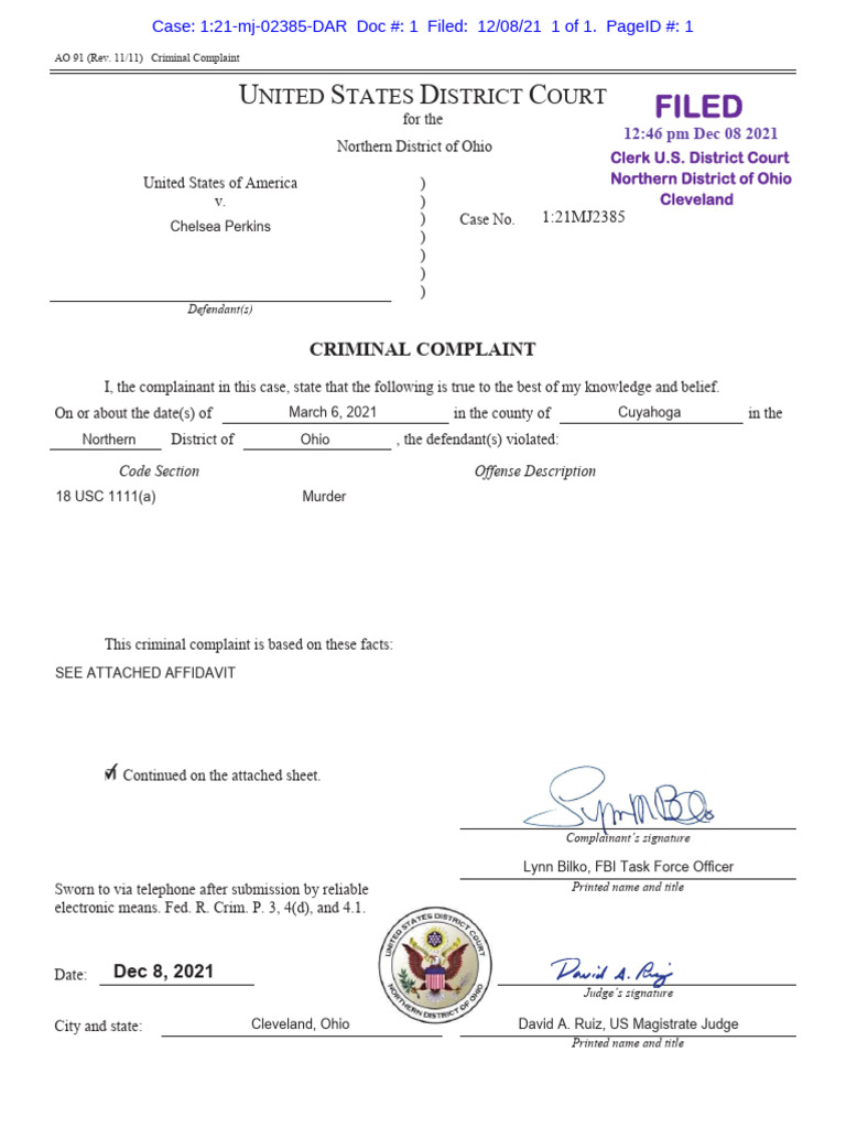 Criminal Complaint Against Chelsea Perkins | PDF | Crimes | Crime ...