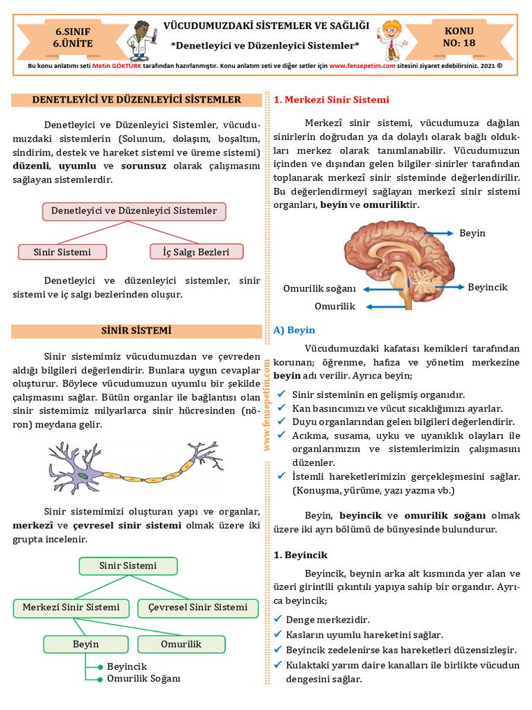 6S-6Ü-1B Konu Anlatımı | PDF