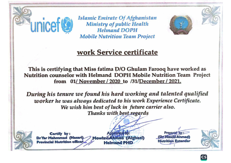 WorkingExperience1 Certificate | PDF