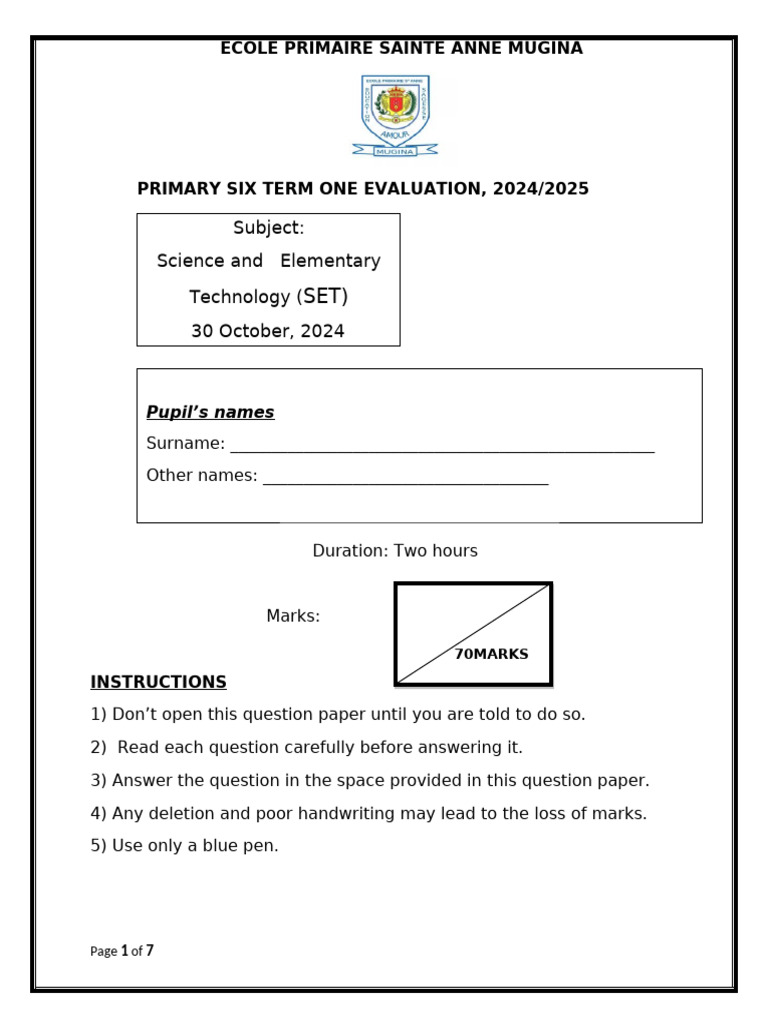 Primary Six 30 Set Test | PDF | Flowers | Pollination