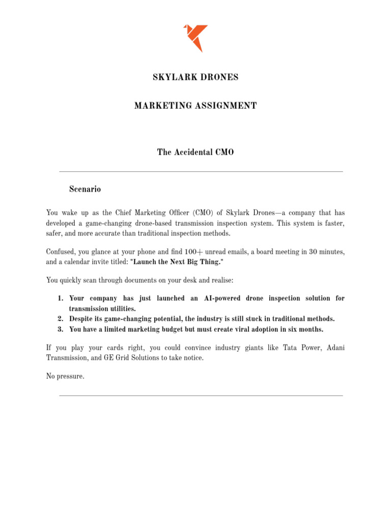 Marketing Assignment - Skylark Drones | PDF