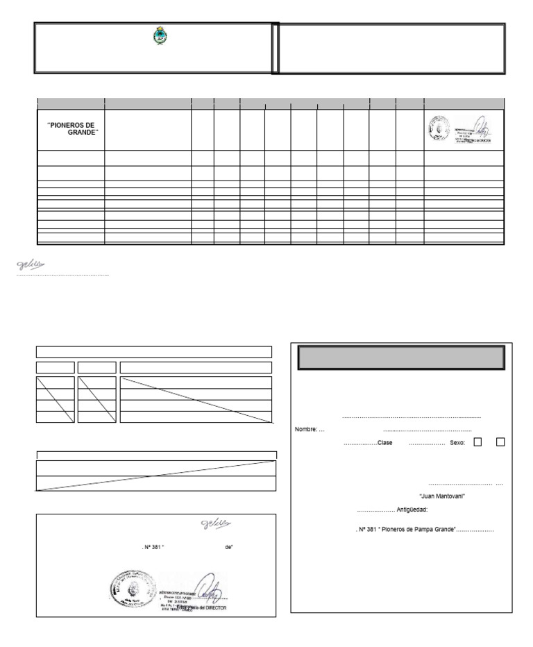 Formul - Declaracion Jurada Cargos 2023 | PDF
