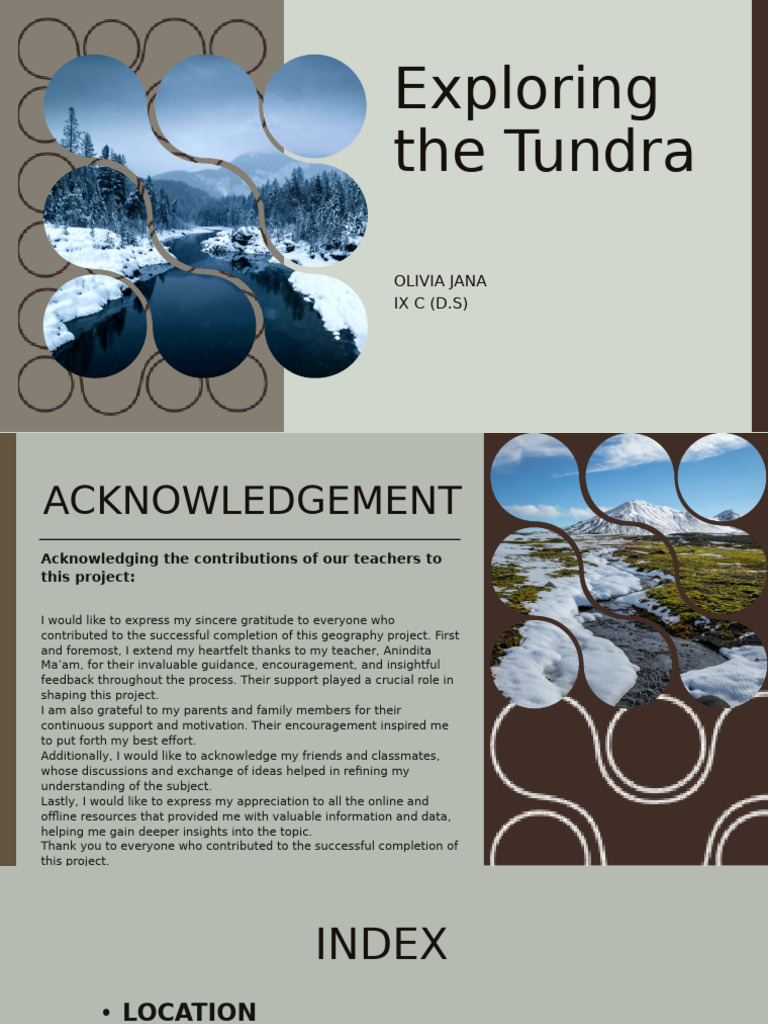 Presentation - Exploring The Tundra - 20250519 - 200831 - 0000 | PDF ...