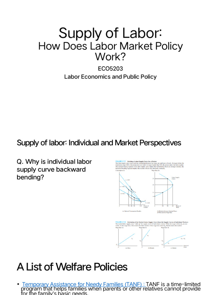 Labor Market Policies and Welfare Programs | PDF