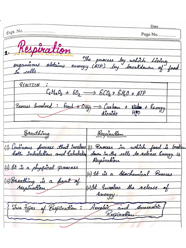 Respiration class 10 | PDF