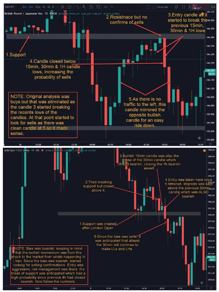Raja Past Trades Analyze | PDF