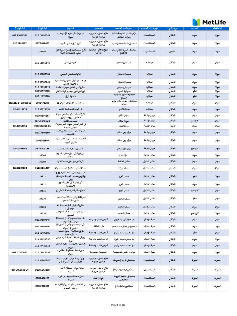 Metlife Egypt Network | PDF