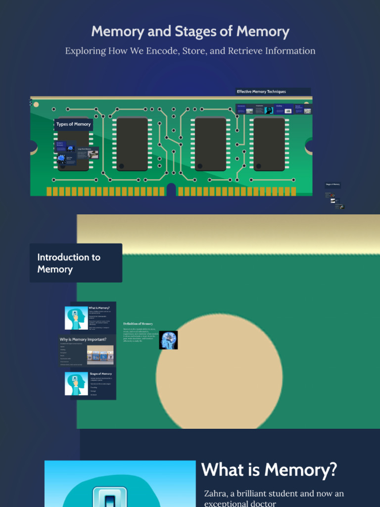 Memory and Stages of Memory | PDF