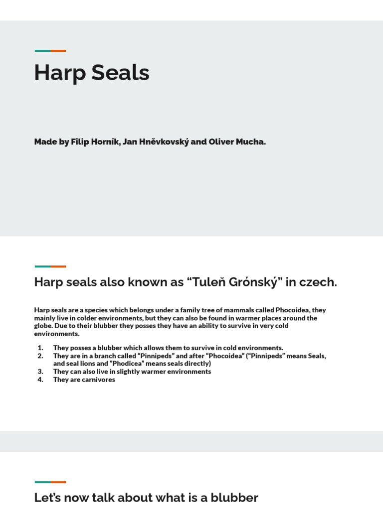 Harp Seals: Characteristics and Habitat | PDF