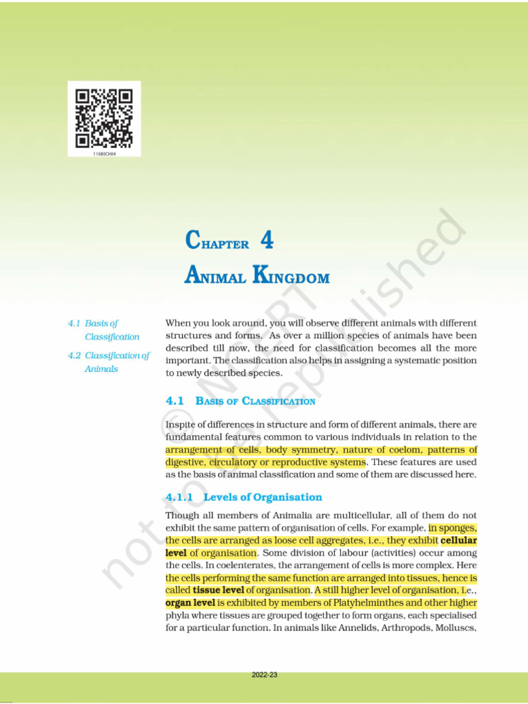 Animal Kingdom | PDF