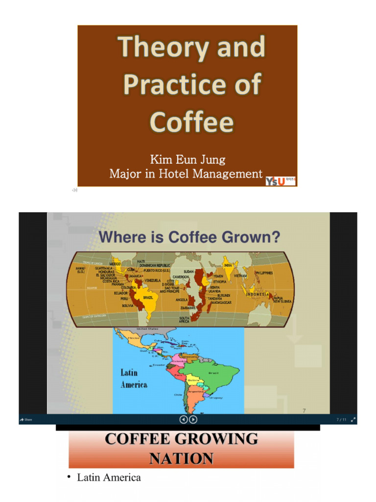 Coffee Theory - Week 3 PDF | PDF | Coffee | Agriculture