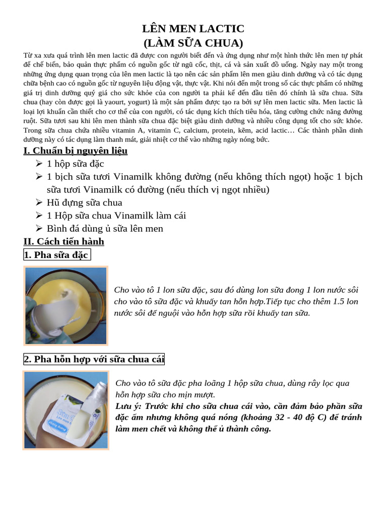 Lên Men Lactic | PDF