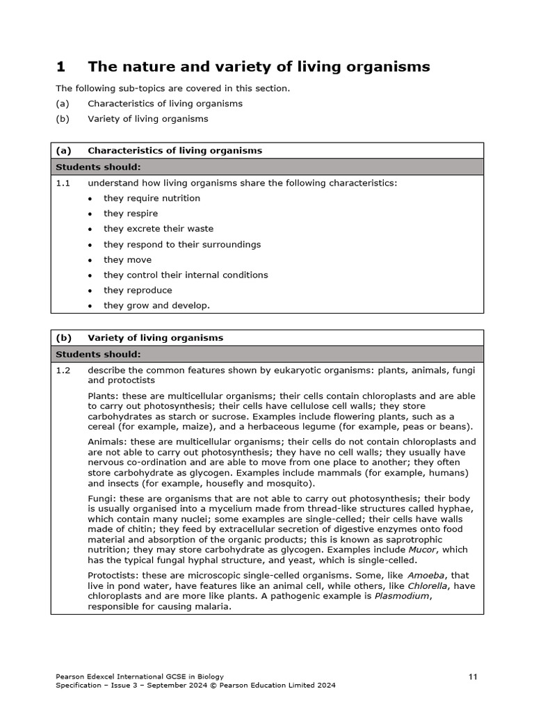 Year 10 EOY Spec Checklist-2 | PDF | Cell (Biology) | Digestion