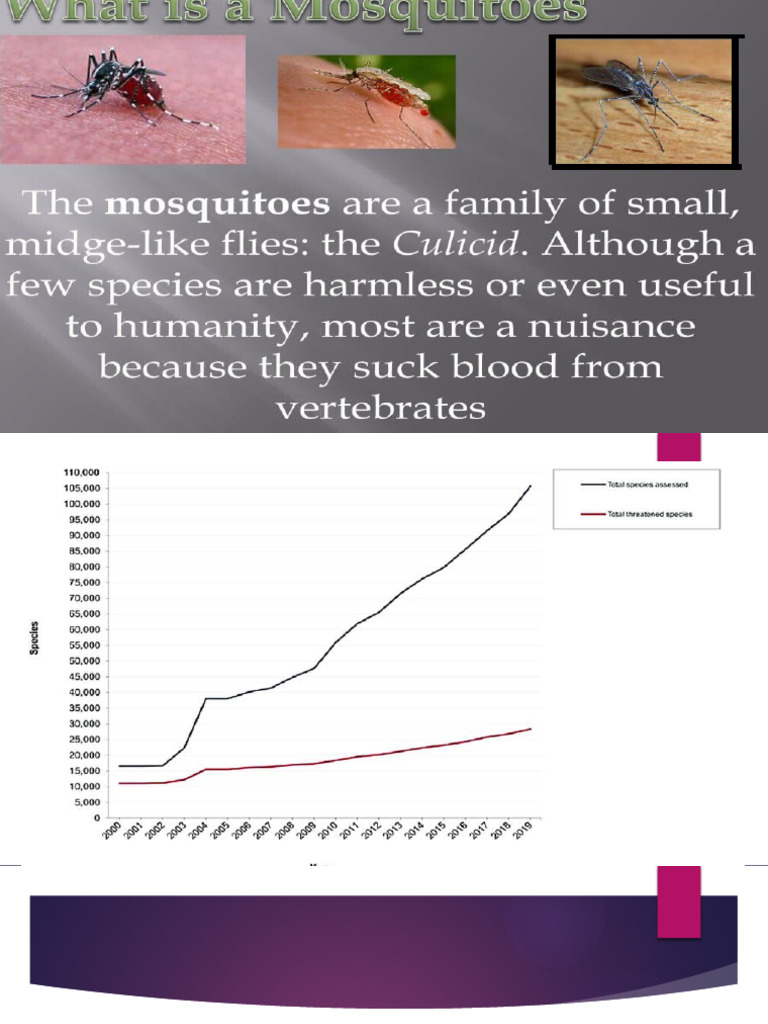 Holiday Homwework of M, Ath Class 7n | PDF