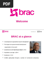 BRAC Srilanka Report 2010 | PDF | Audit | Expense