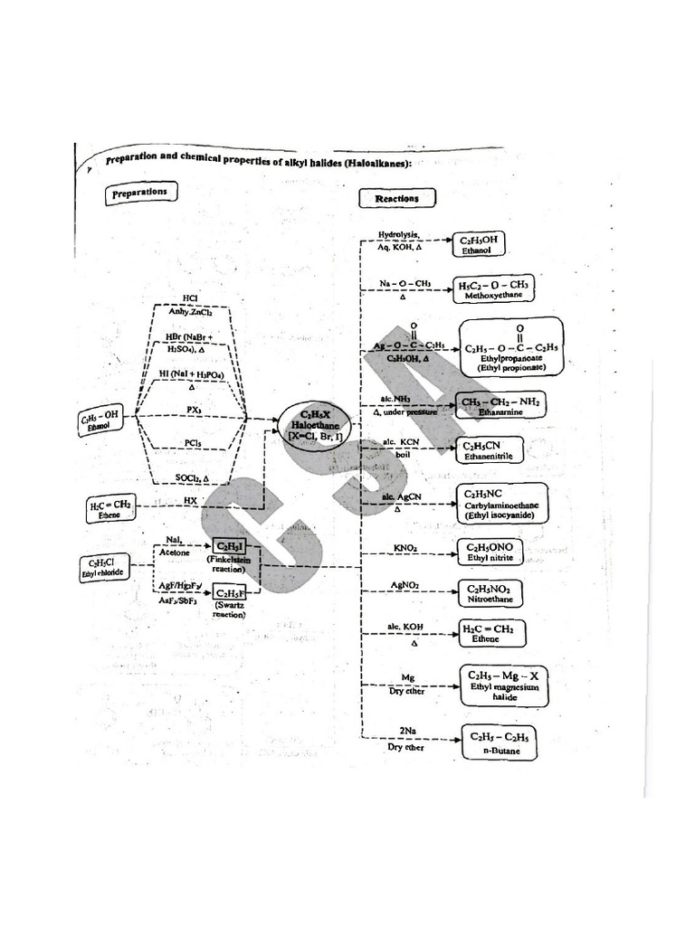 Halogen Derivatives Shortcut To All Preparation and Reaction | PDF