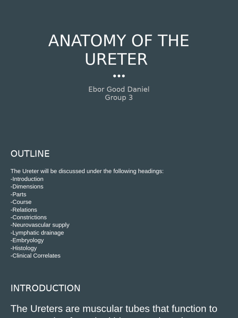 Ureter Anatomy and Clinical Correlates | PDF | Abdomen | Pelvis
