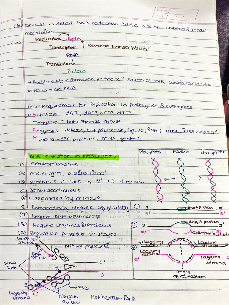 Dna Replication+inhibitors+repair | PDF