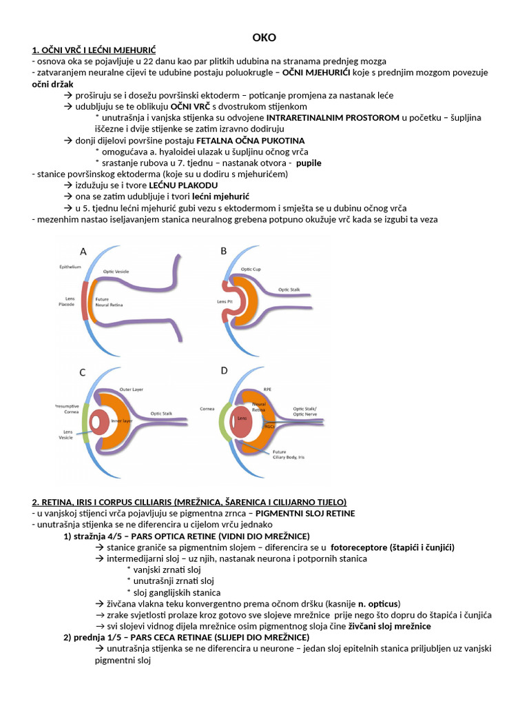 OKO | PDF