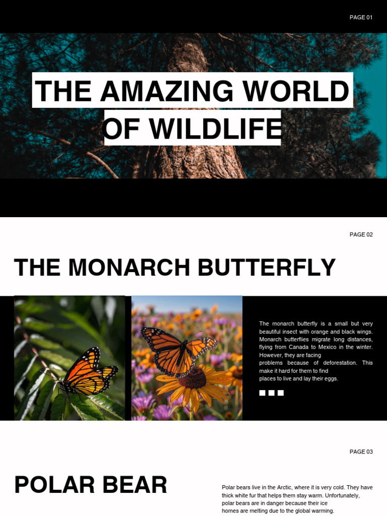 The Amazing World of Wildlife | PDF
