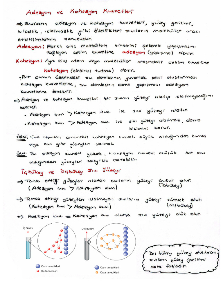 Adezyon Ve Kohezyon Kuvvetleri | PDF