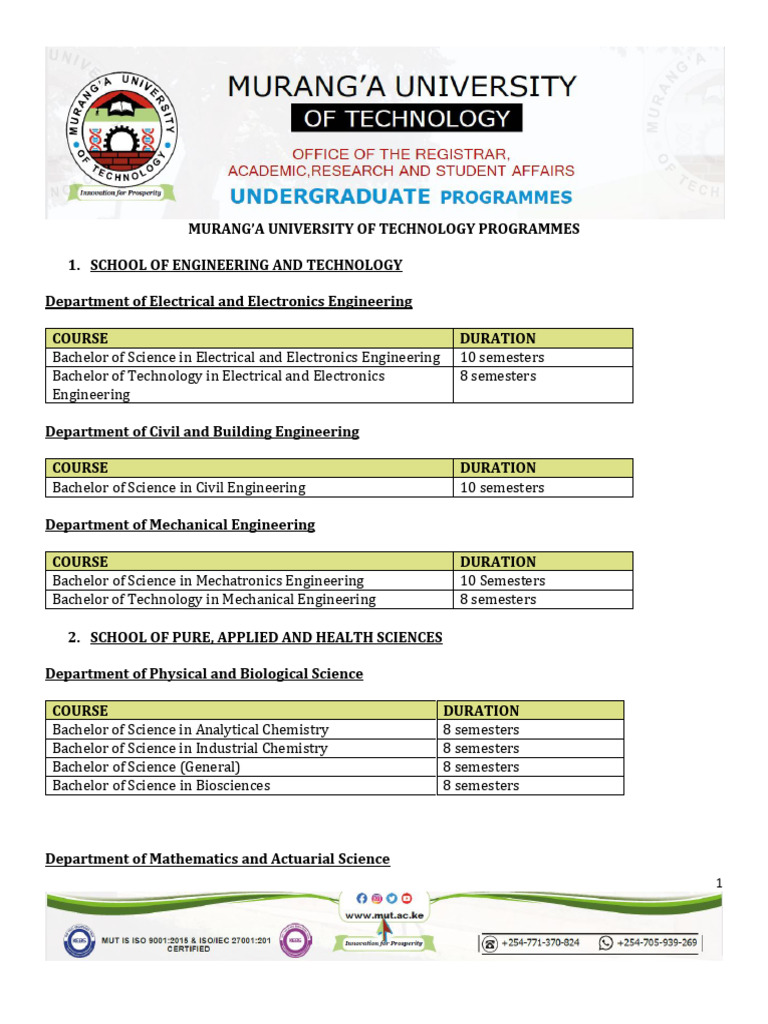 Undergraduate Programmes 1 | PDF | Bachelor's Degree | Engineering