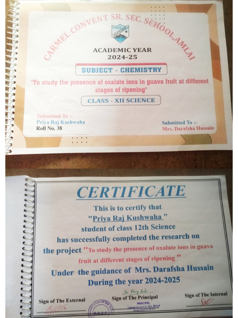 Chemistry Project | PDF