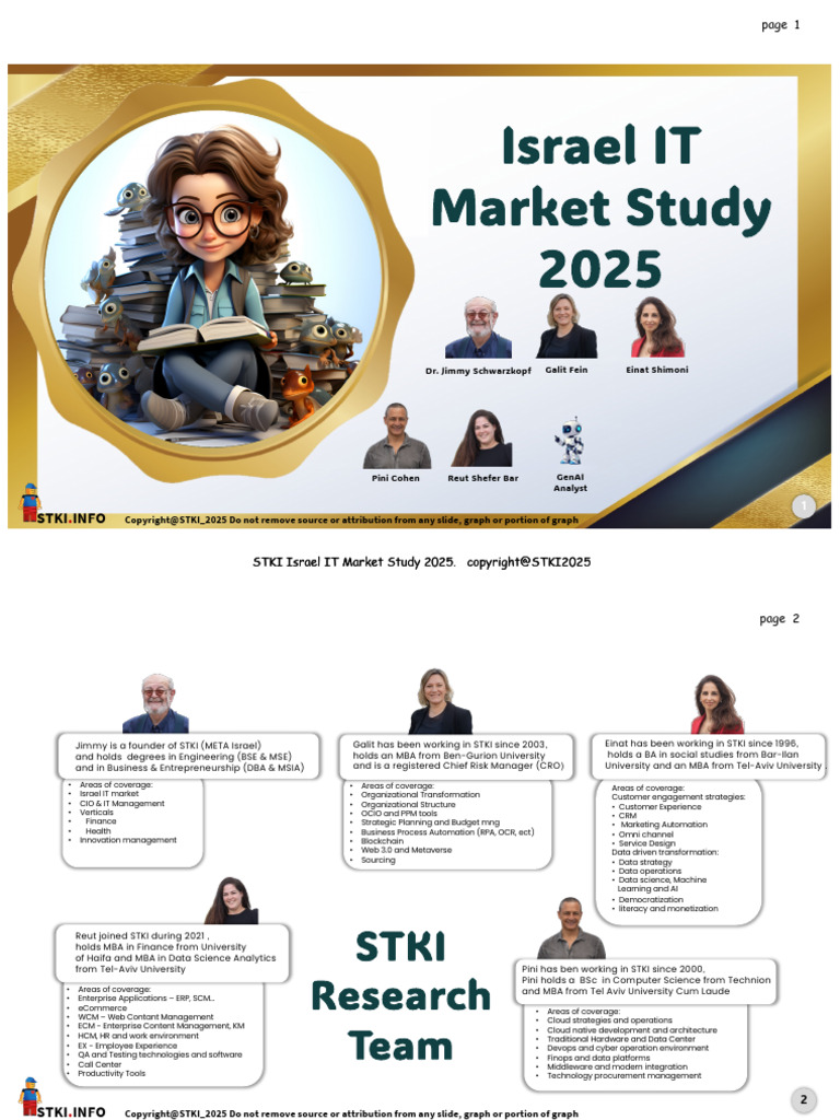 STKI Israel IT Market Study 2025 | PDF | Chief Information Officer ...