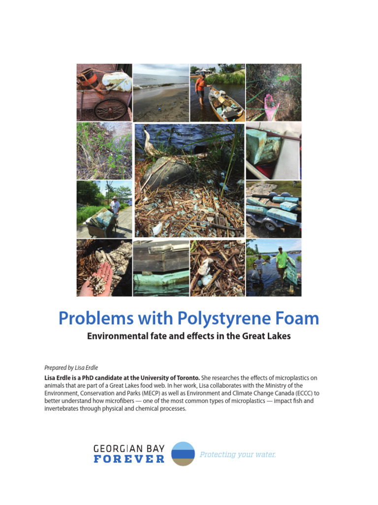 GBF Report Polystyrene Foam Jun 2020 | PDF | Polystyrene | Environmental Science