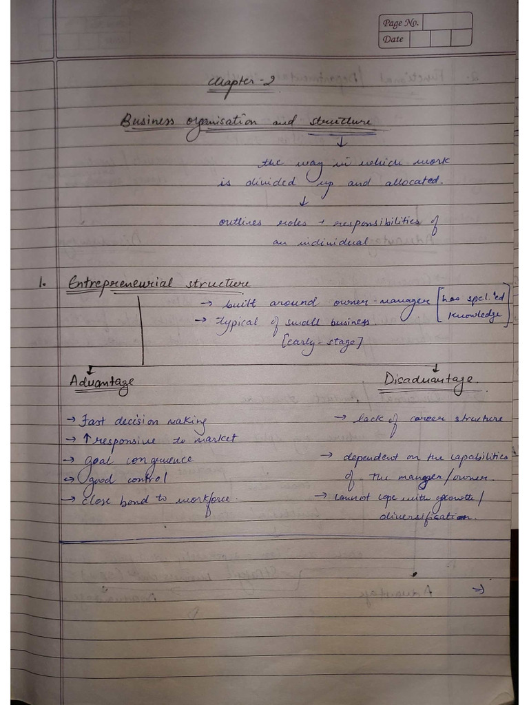 Chapter 2 - Business Organisation and Structure | PDF